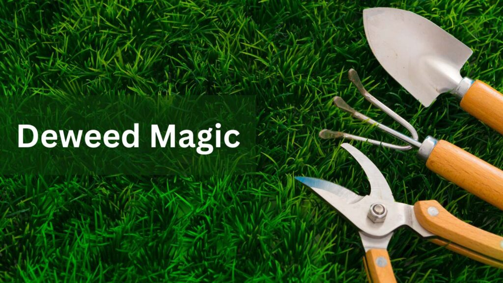 How to Deweed a Garden: The Ultimate Step-by-Step Guide