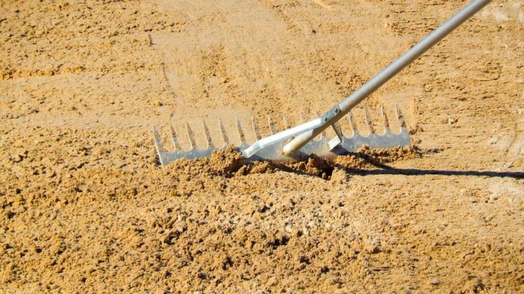 Best Lawn Leveling Rakes of 2025