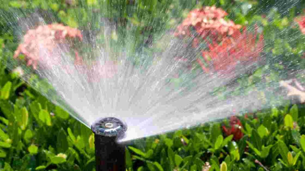 Best Garden Sprinklers for Every Yard