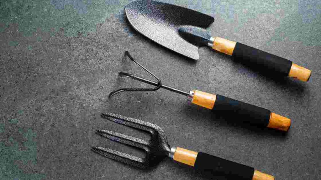 The Best 10 Spades for Your Garden: Top Picks and Reviews